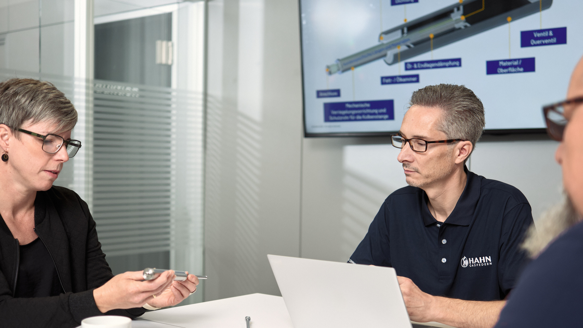 气弹簧和阻尼器 - HAHN Gasfedern 产品